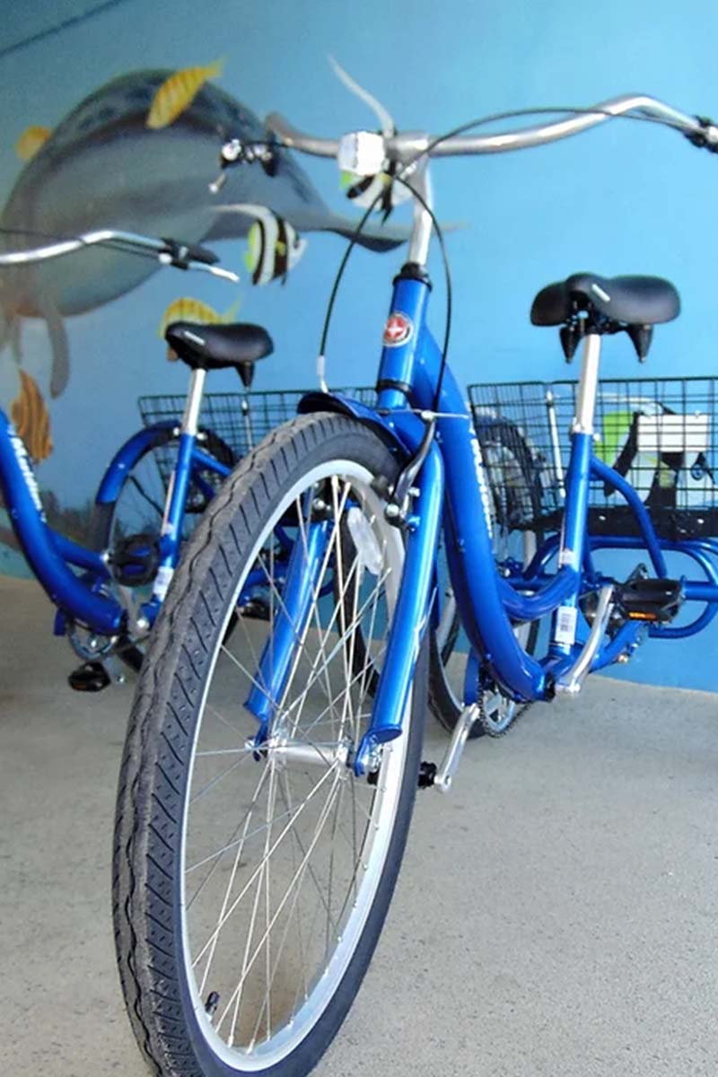 Amenities - Dolphin Key Resort | Cape Coral Florida