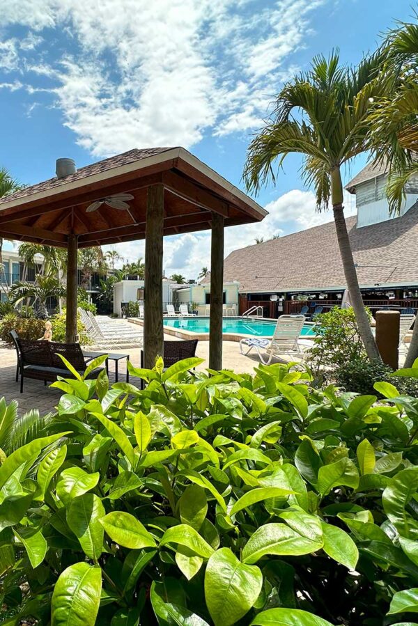 Dolphin Key Resort & Tiki Bar & Grill | Cape Coral, FL